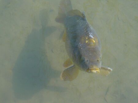 Landwirtschaft – KiwiThek