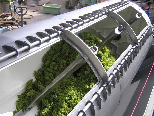 Obstverwertung – KiwiThek