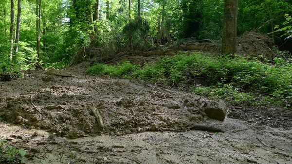 Landwirtschaft – KiwiThek