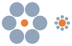 Gesichtssinn – KiwiThek