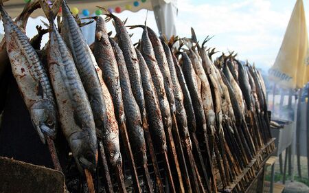 Donauinselfest – KiwiThek