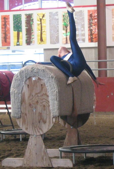 Voltigieren/einfach – KiwiThek