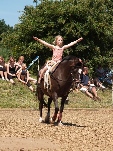 Voltigieren – KiwiThek